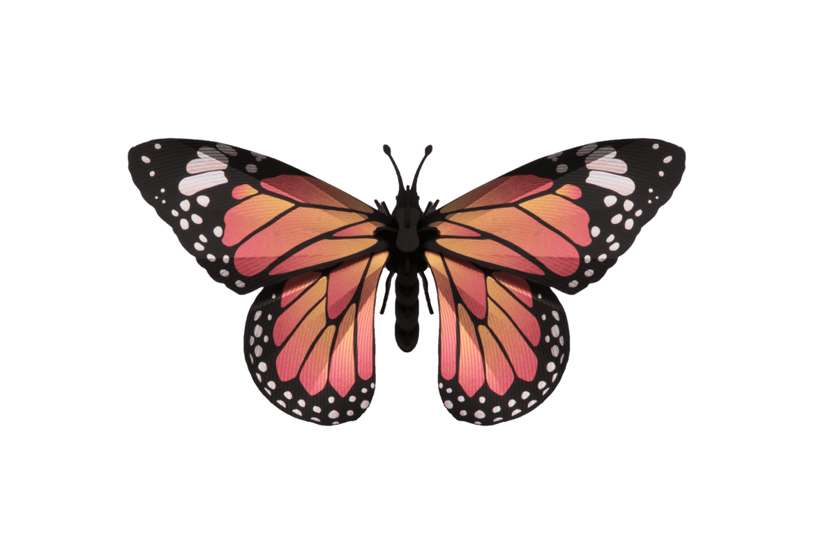 Paper Monarch Butterfly– Papier Plume