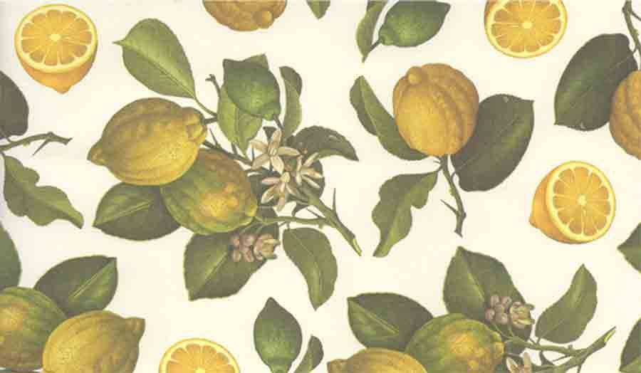 Rossi - Wrapping Paper - Lemons– Papier Plume